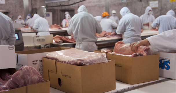 Don Dinero | Logra México exportaciones de carne de cerdo a Japón por ...